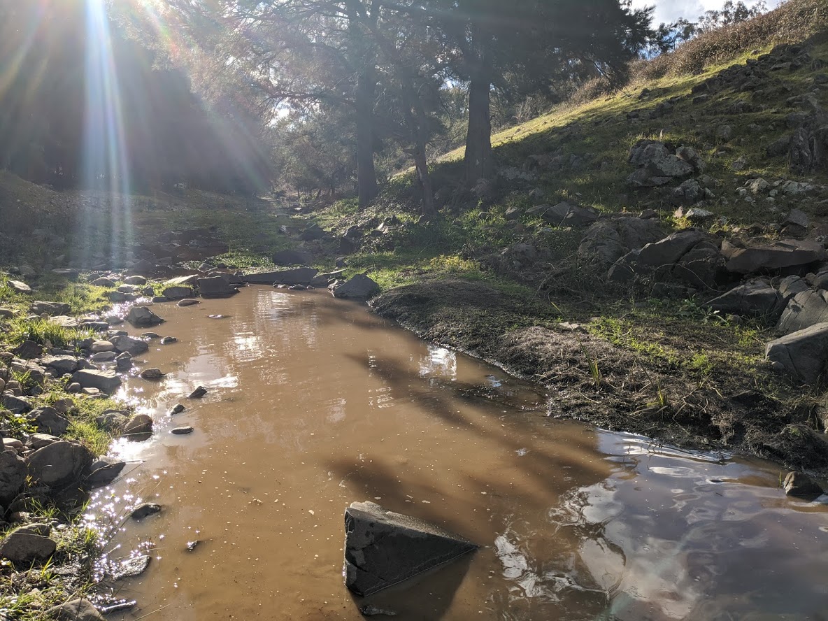 Sofala Gold Panning - A Golden Opportunity for your Family.