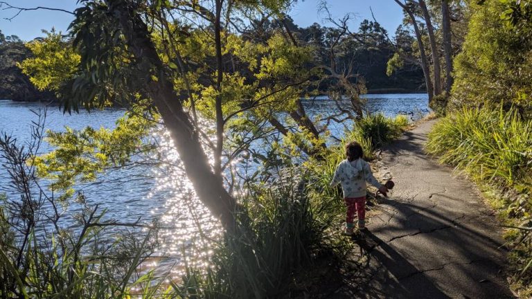 The Best Bushwalks for Kids in the Blue Mountains