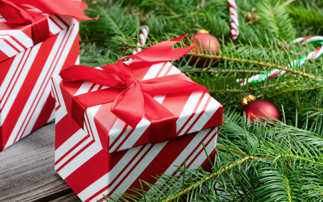 12 Top Places To Buy a Real Christmas Tree In the Blue Mountains (And ...