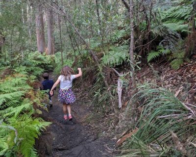 The Best Bushwalks for Kids in the Blue Mountains