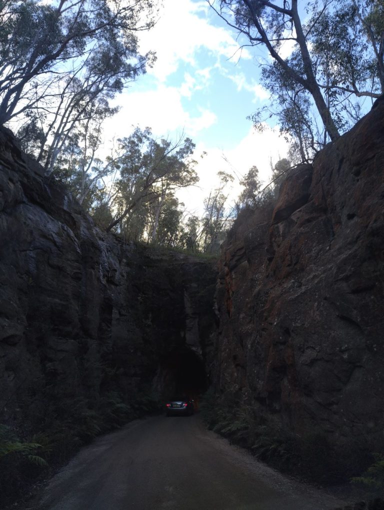 What You Need To Know About The Spectacular Lithgow Glow Worm Tunnel ...
