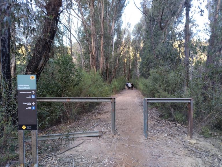 What You Need To Know About The Spectacular Lithgow Glow Worm Tunnel ...