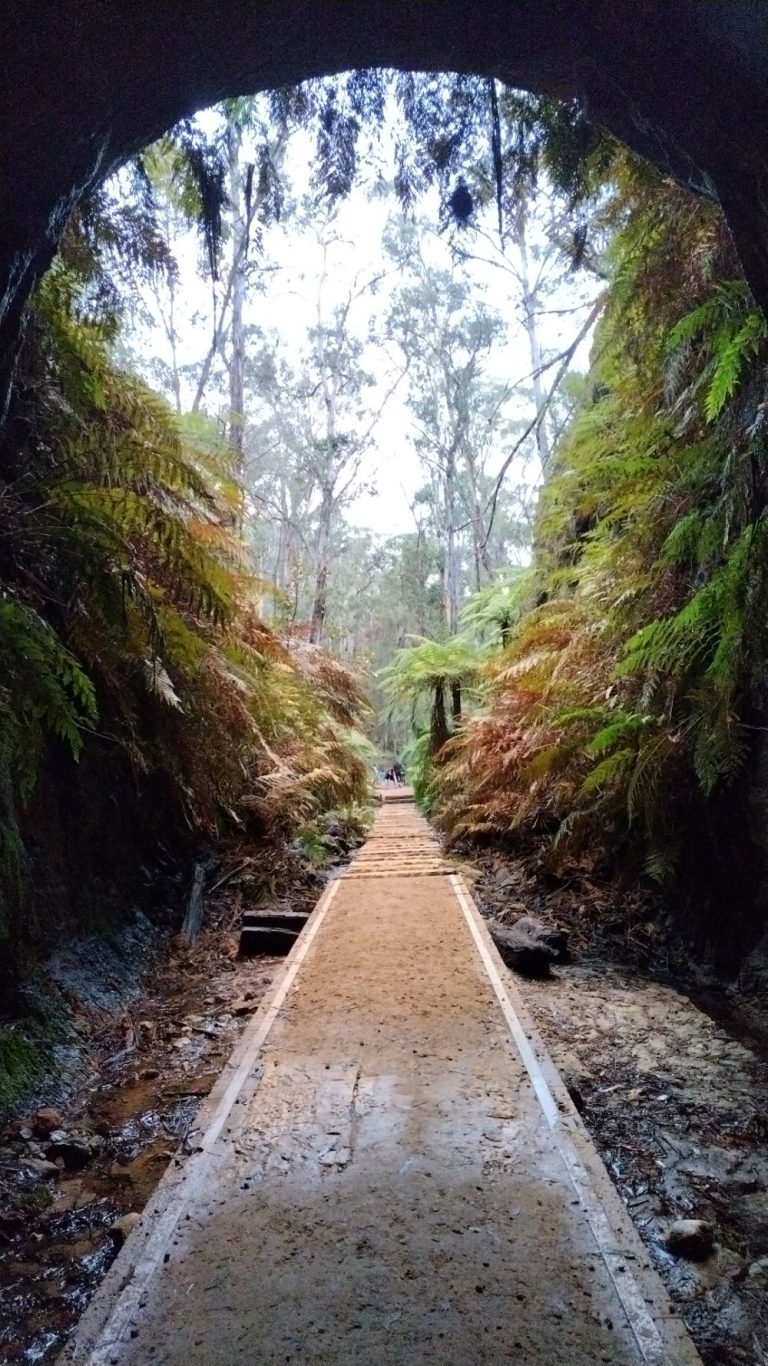 What You Need To Know About The Spectacular Lithgow Glow Worm Tunnel ...
